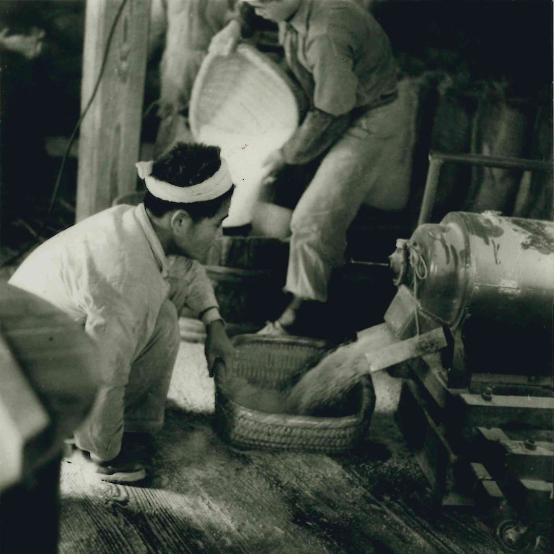 Seto Shuzo – SAKEBOYS